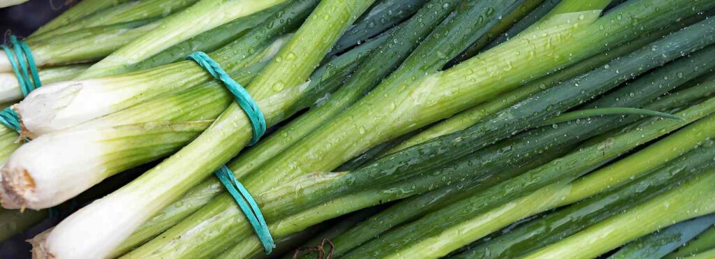 Online Ordering Login - BIX Produce Company